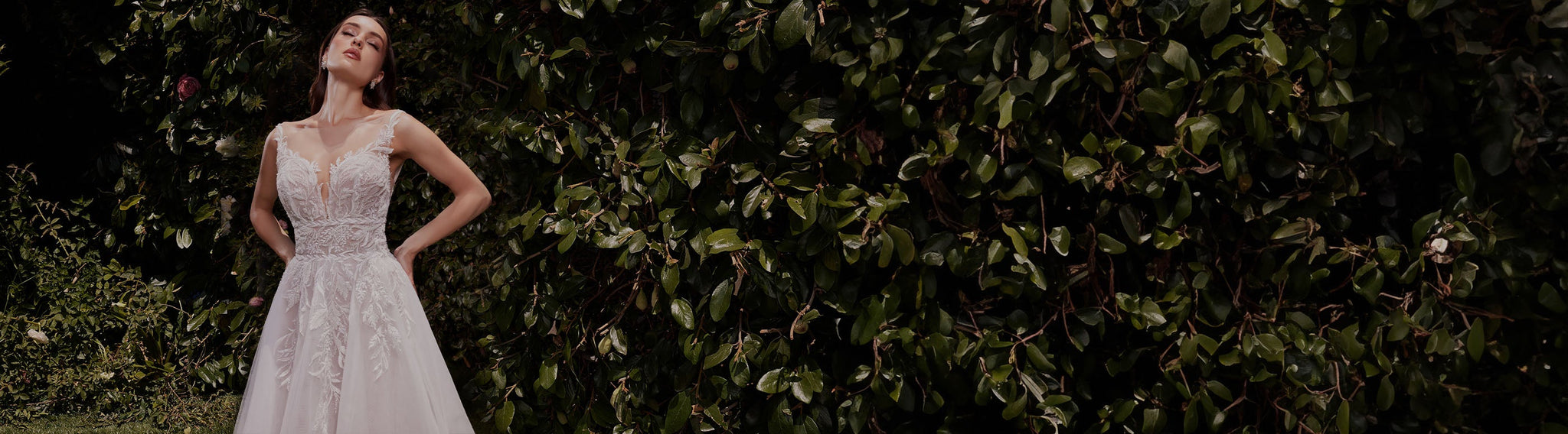 Wholesale Wedding Dresses & Bridal Gowns | Ladivine by Cinderella Divine